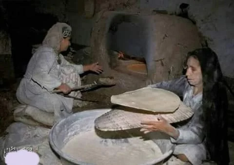 New Hermopolis Organic Farm, Organic Olive Grove and Farm Kitchen — New ...