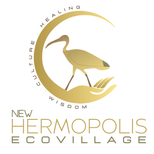 Contact New Hermopolis — New Hermopolis