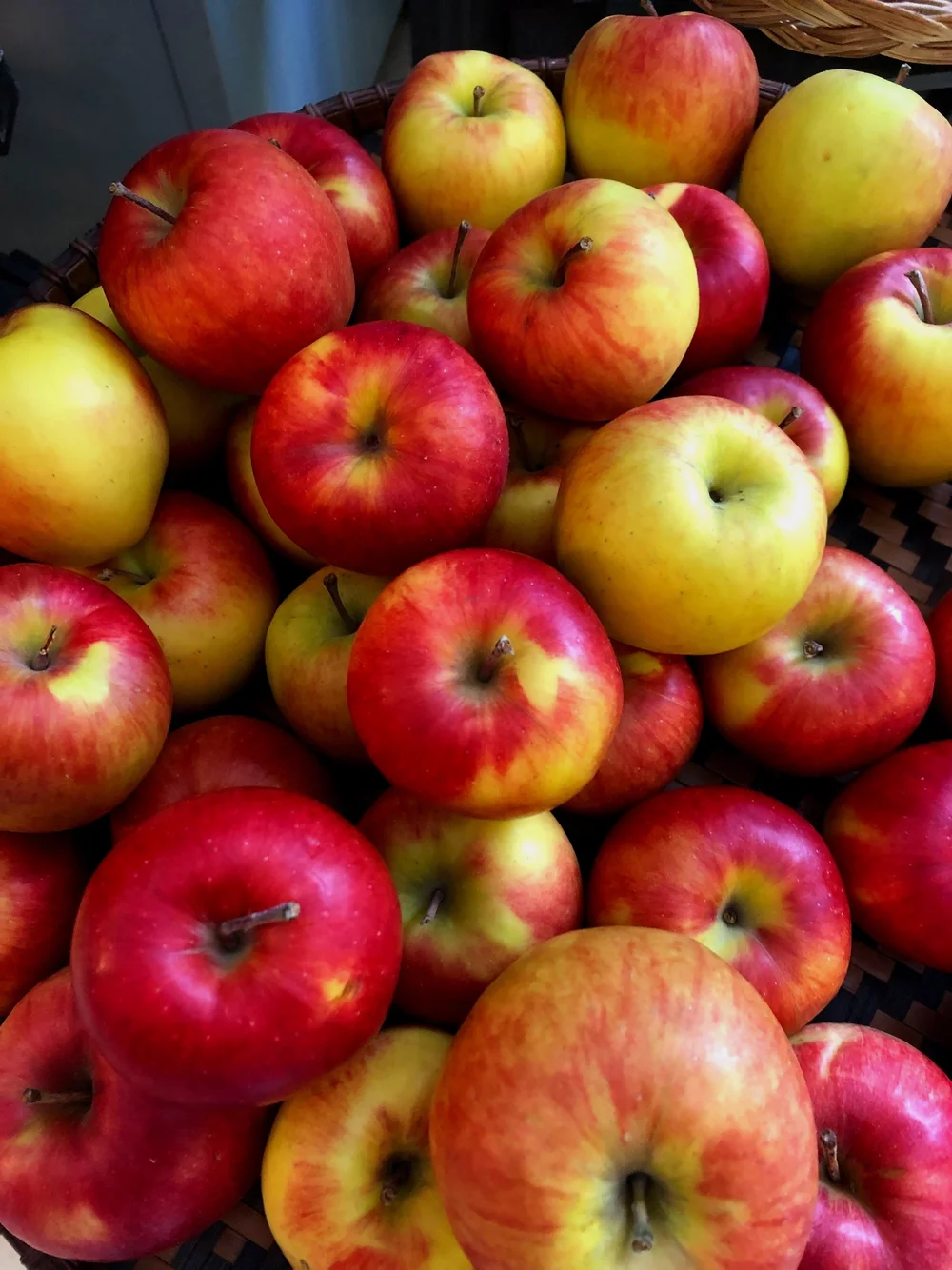 Fresh Heads Farm Shop — Ontario Sustainable Agriculture