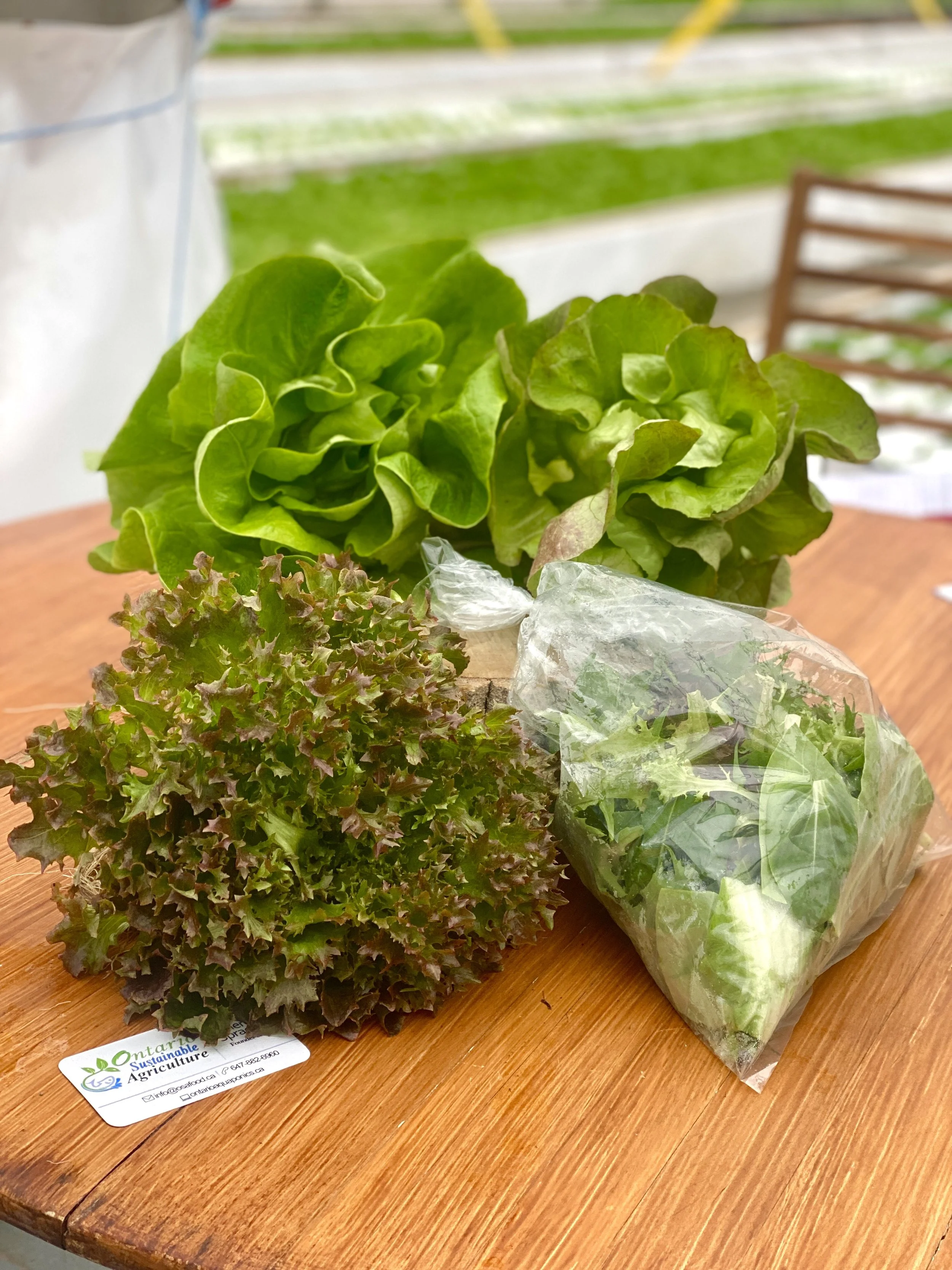 Ontario Sustainable Agriculture