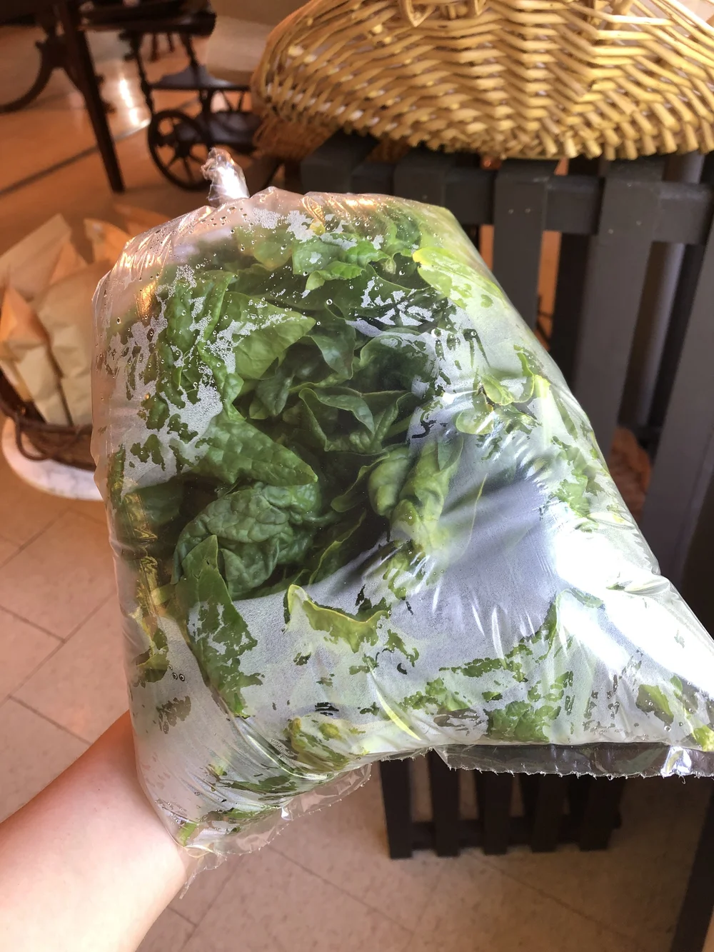 Fresh Heads Farm Shop — Ontario Sustainable Agriculture