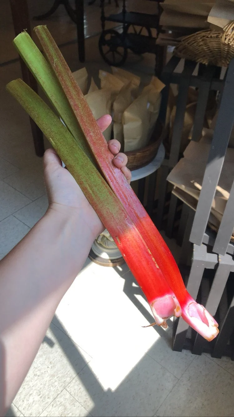 Fresh Heads Farm Shop — Ontario Sustainable Agriculture