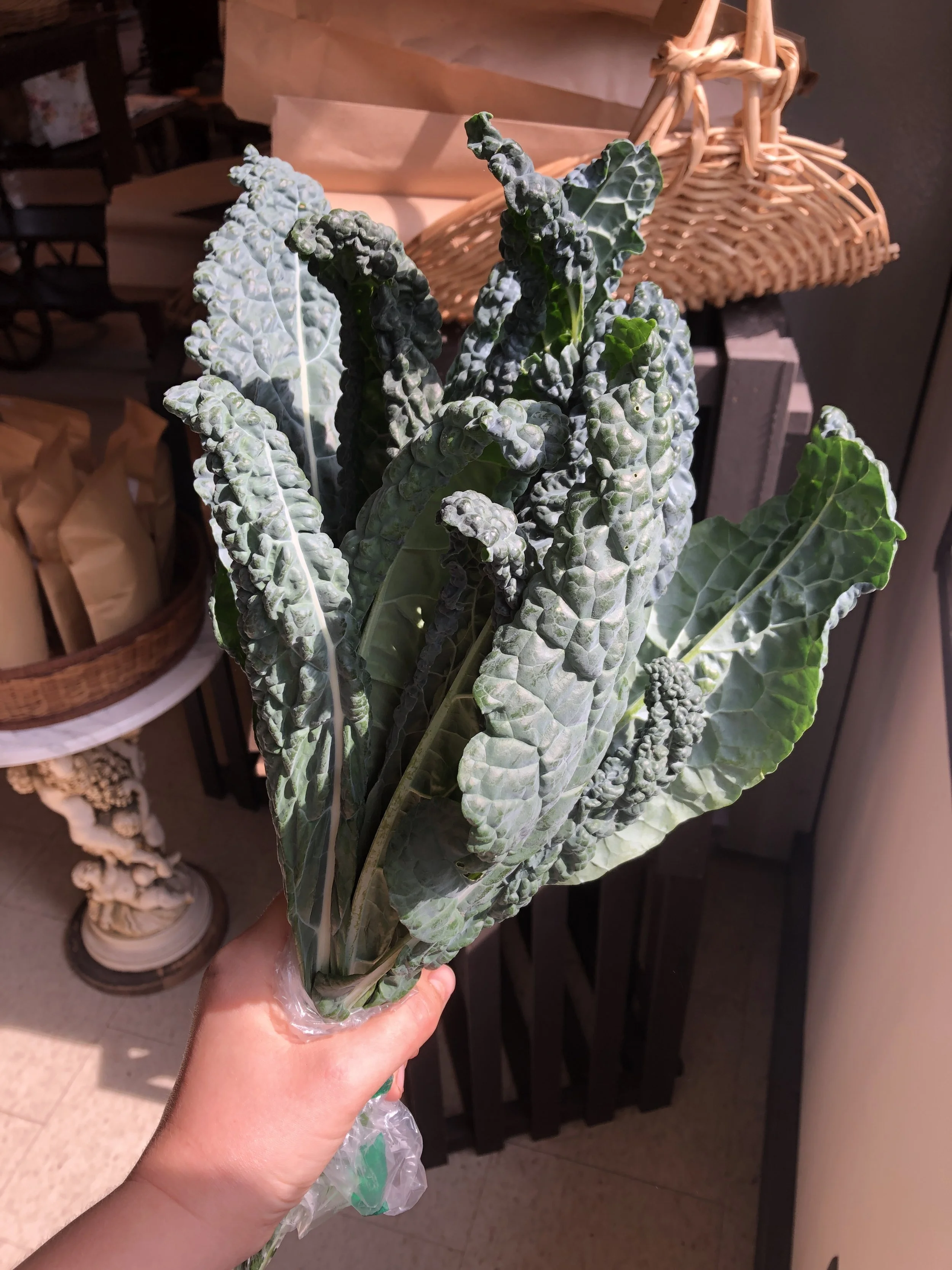 Fresh Heads Farm Shop — Ontario Sustainable Agriculture