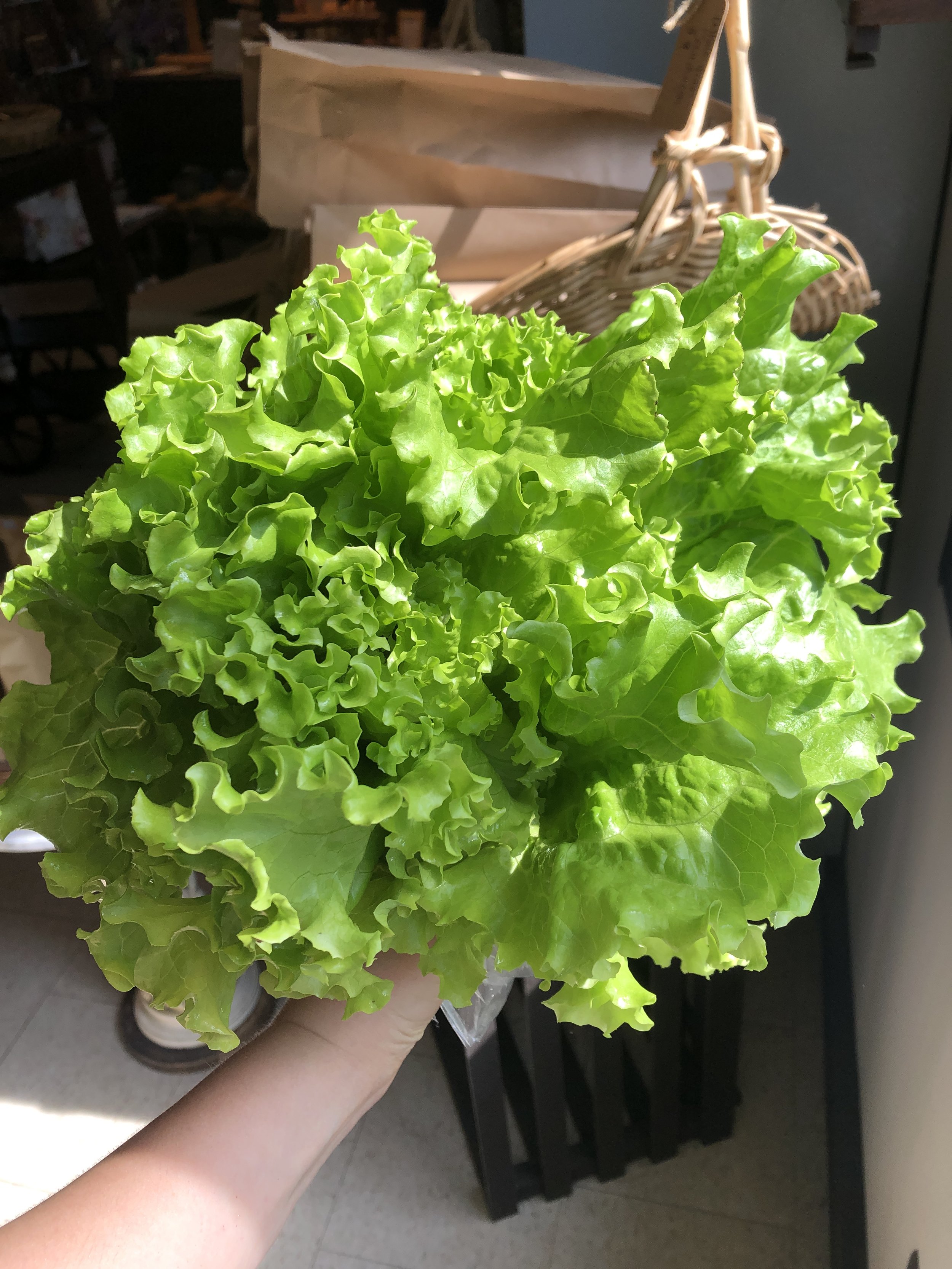 Fresh Heads Farm Shop — Ontario Sustainable Agriculture