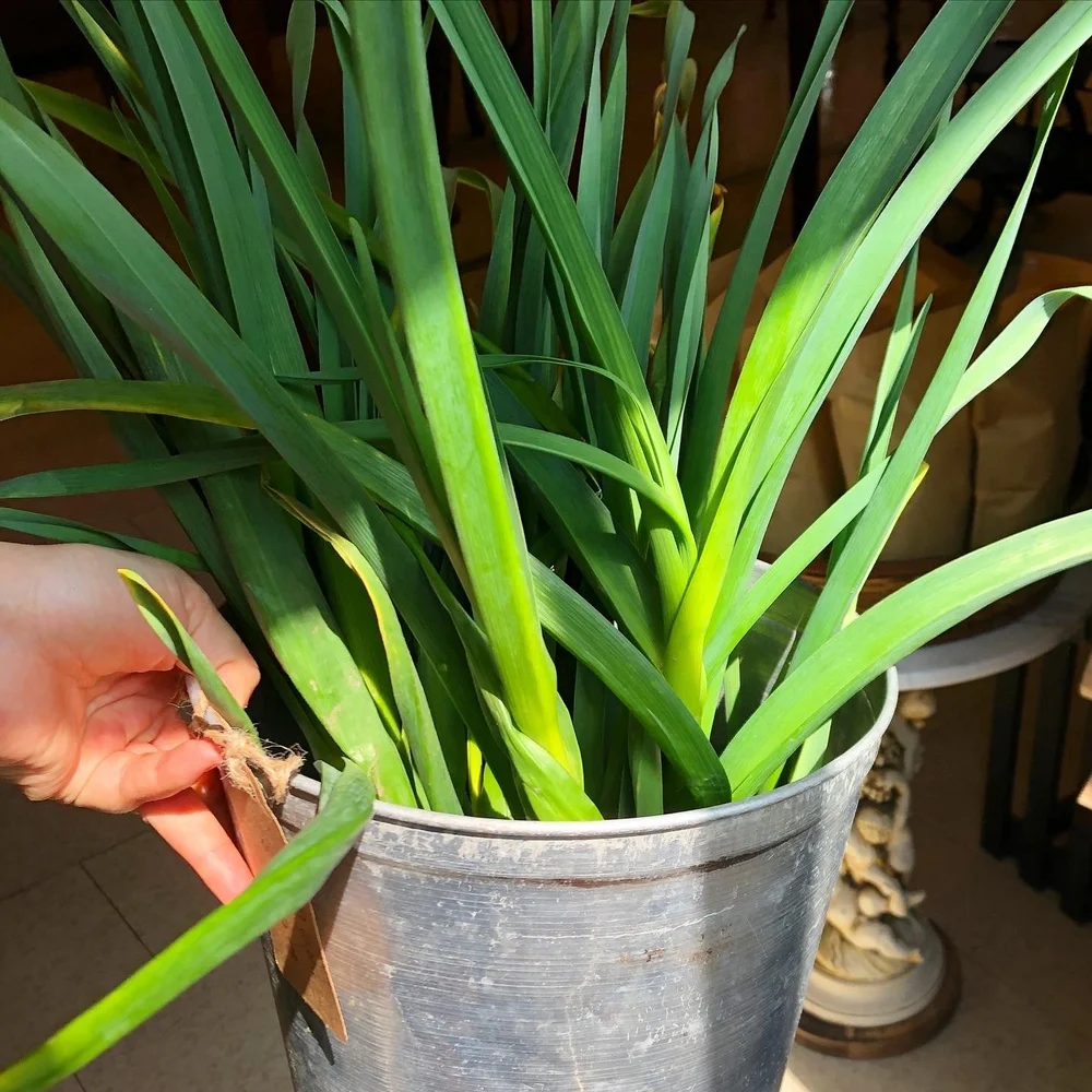 Fresh Heads Farm Shop — Ontario Sustainable Agriculture