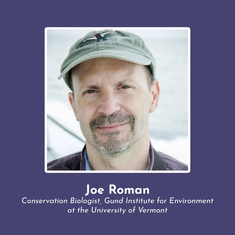 Joe Roman: “Eat, Poop, Die: Animals as the Arteries of the Biosphere ...