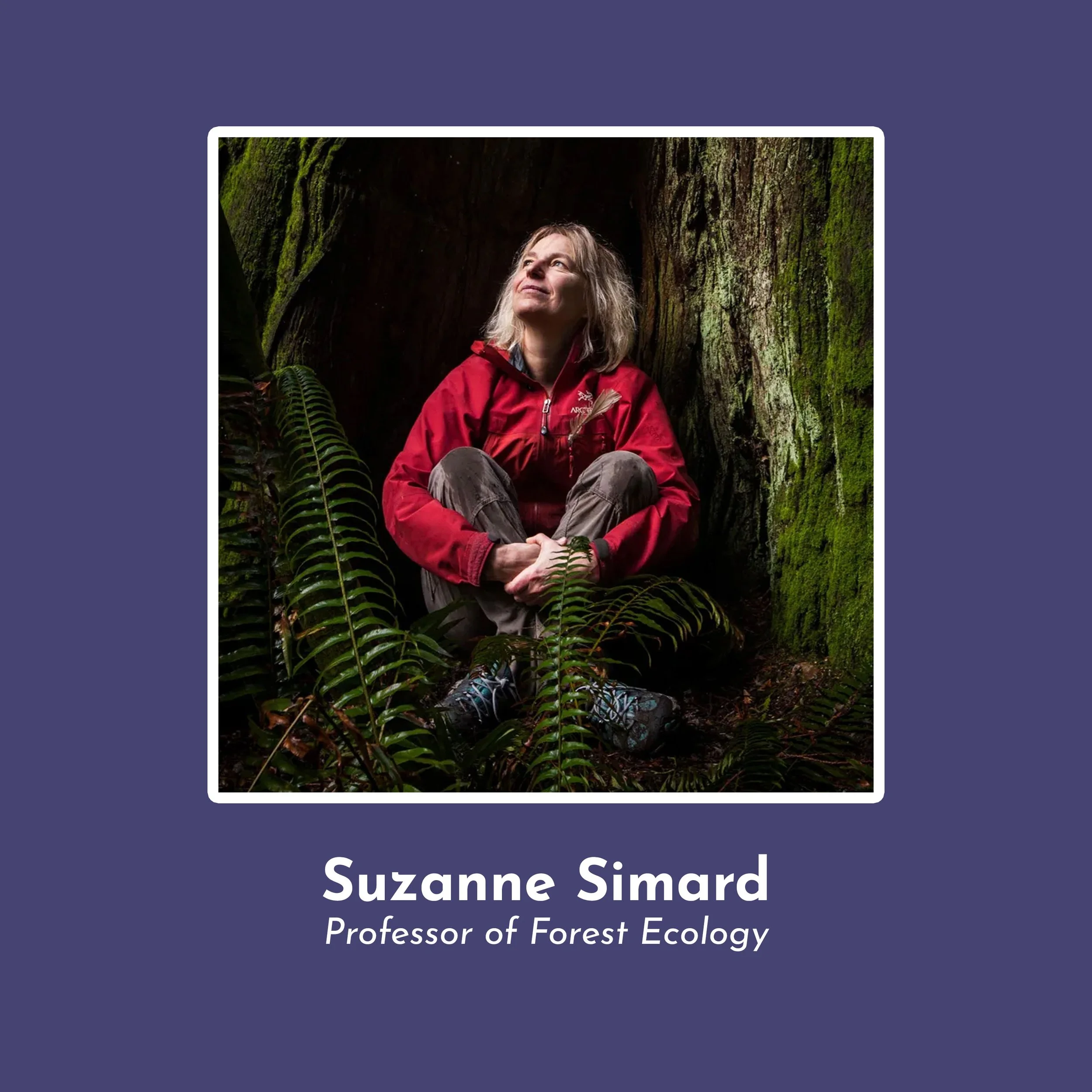 Suzanne Simard: “Rooted in Connection: Exploring the Hidden Ties in ...