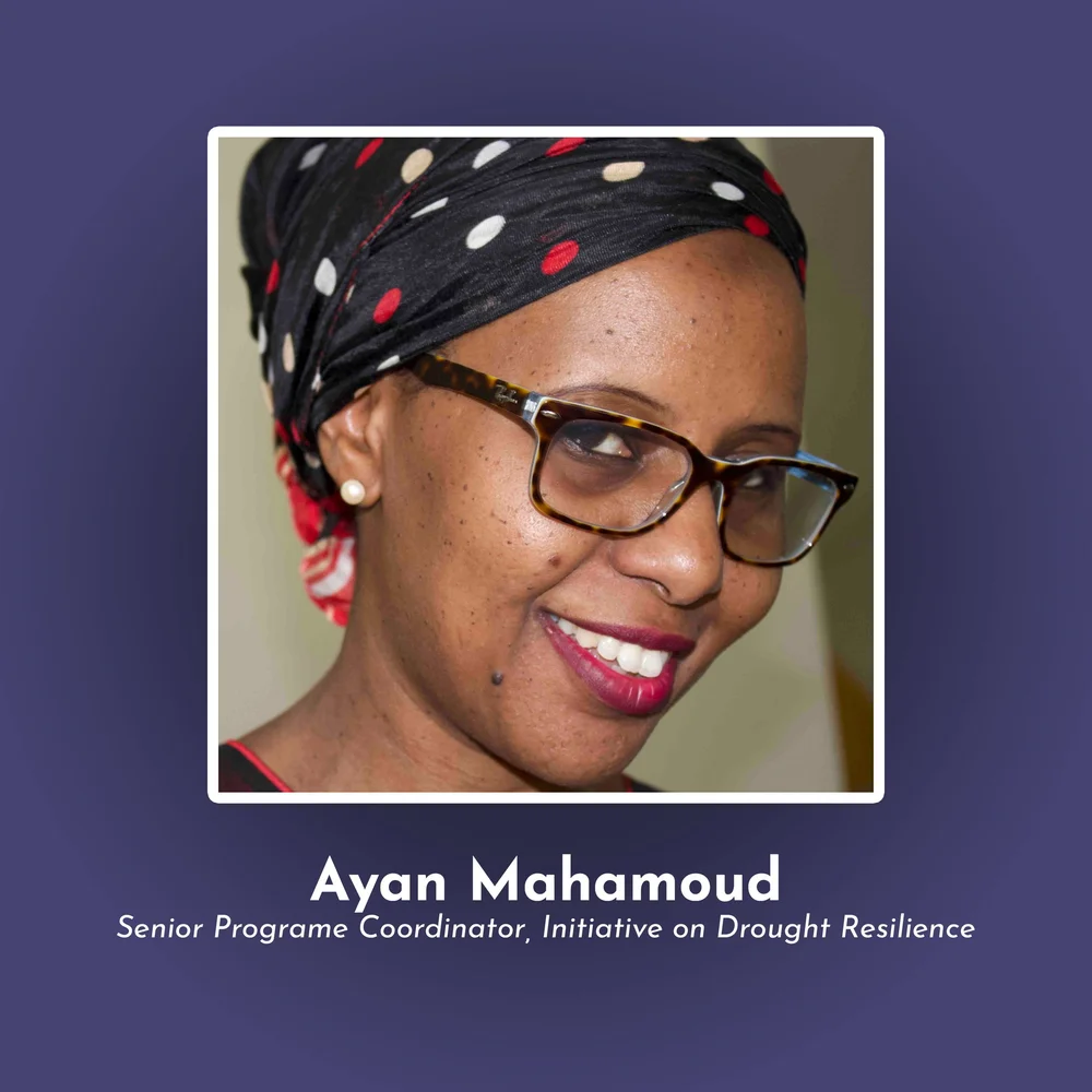 Ayan Mahamoud: “East Africa and the Poly-Crisis” | The Great Simplification