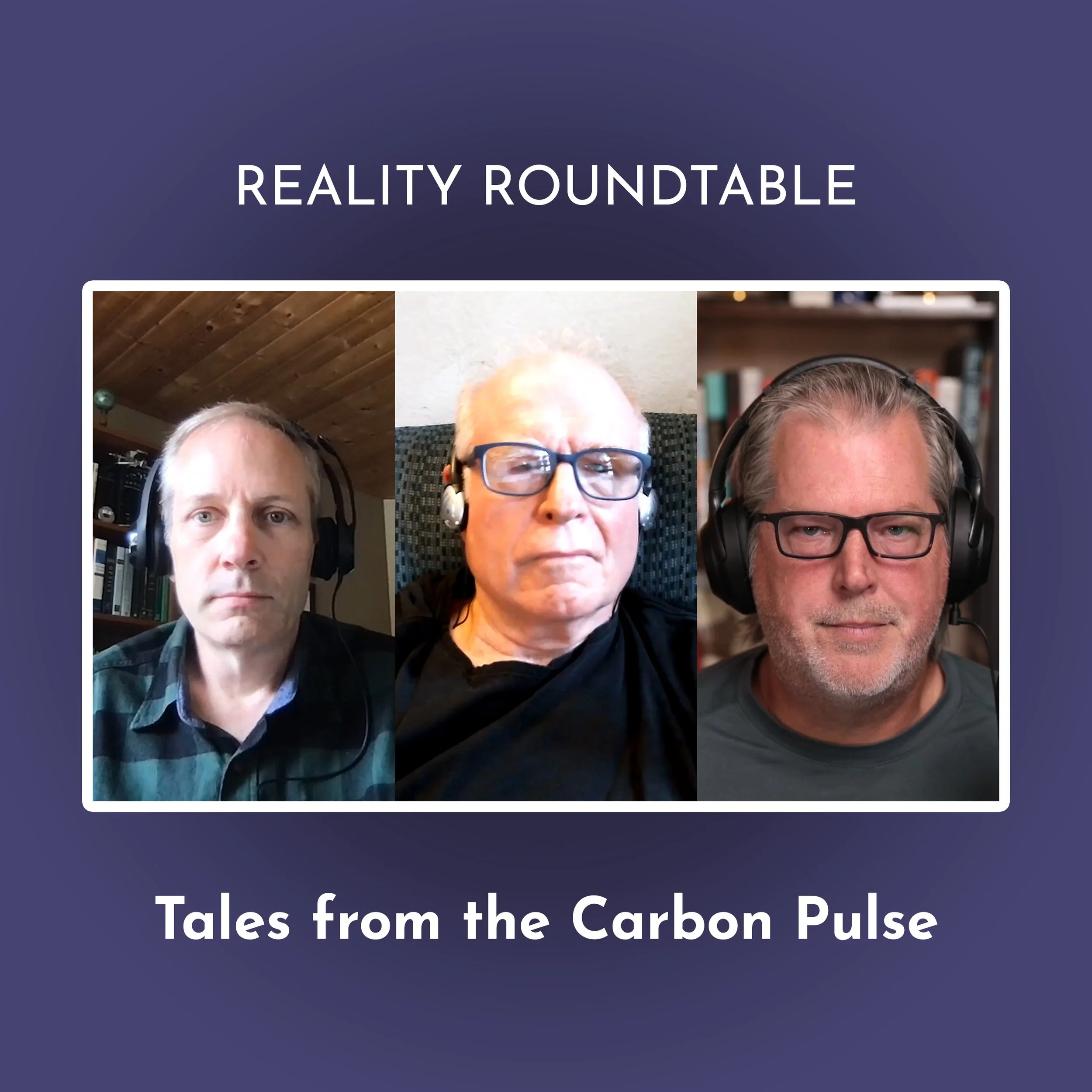 Tales from the Carbon Pulse | The Great Simplification