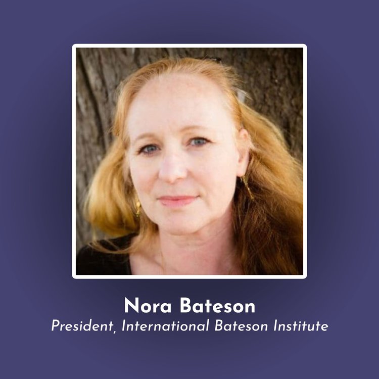 Nora Bateson: “Complexity Between the Lines” | The Great Simplification