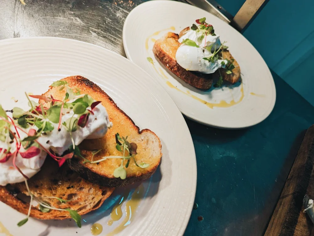 About us — The Rabbit Run