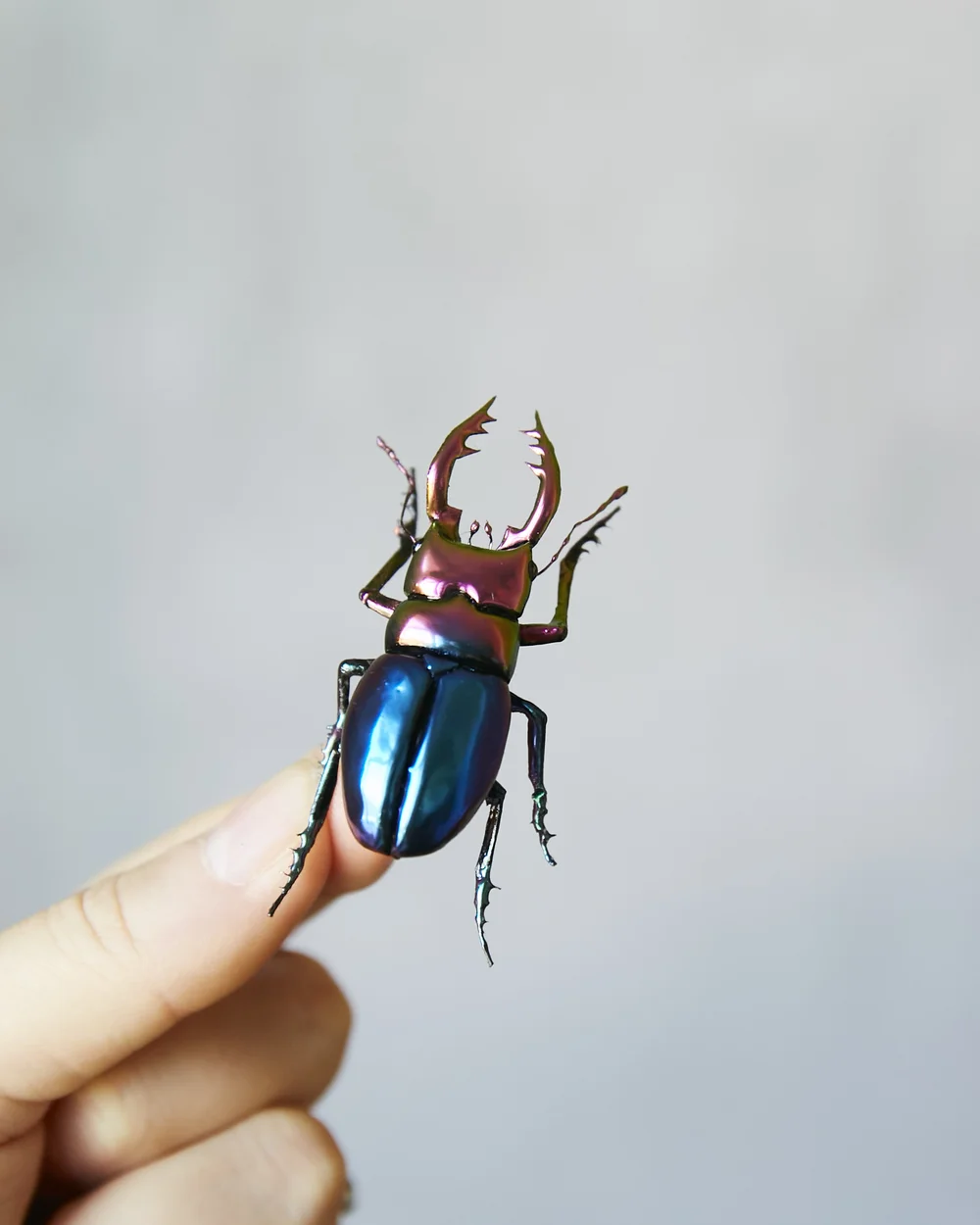 Lemon Miniatures — Insects