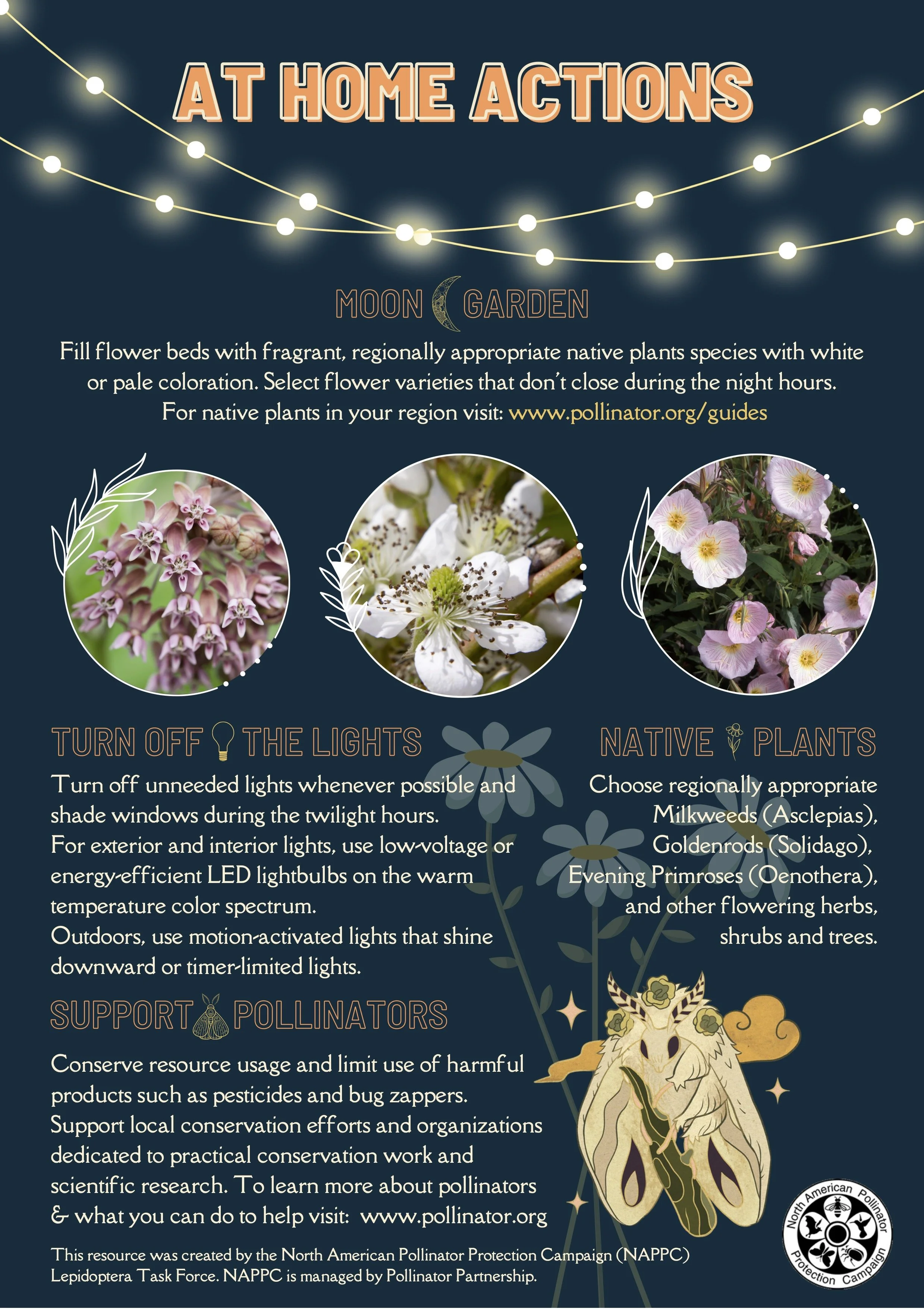 “Lights Out for Lepidoptera” — Devine Native Plantings