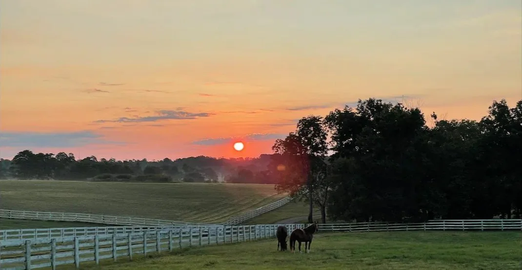 Contact — Oxford Springs Farm