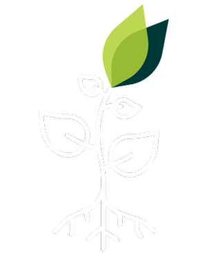 New Leaf Climate Partners