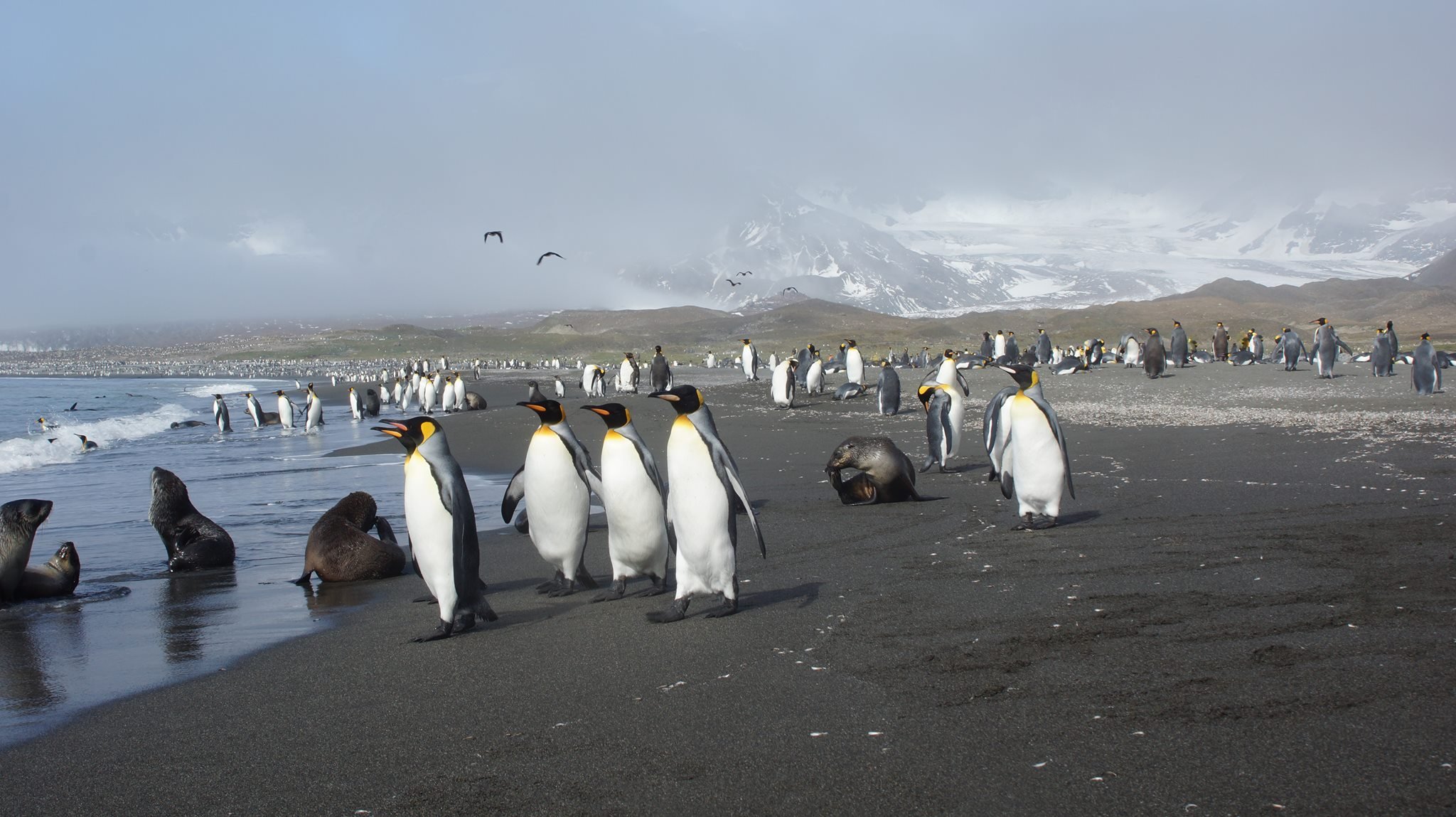 About 1 — Red Wing Area Studio Tour