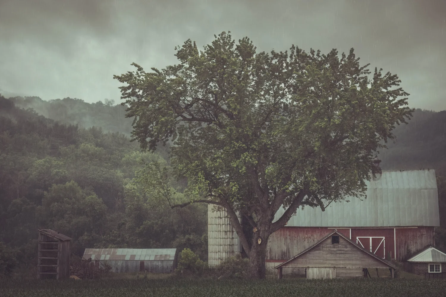 About 1 — Red Wing Area Studio Tour