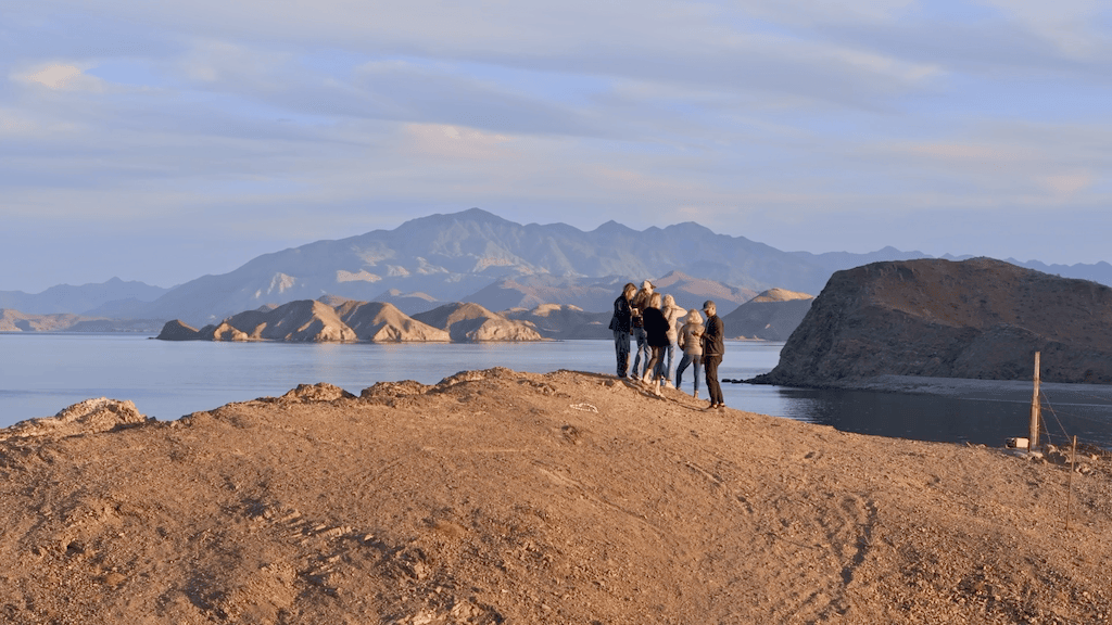 Baja Gray Whale Watching Adventure | Baja Wild Encounters