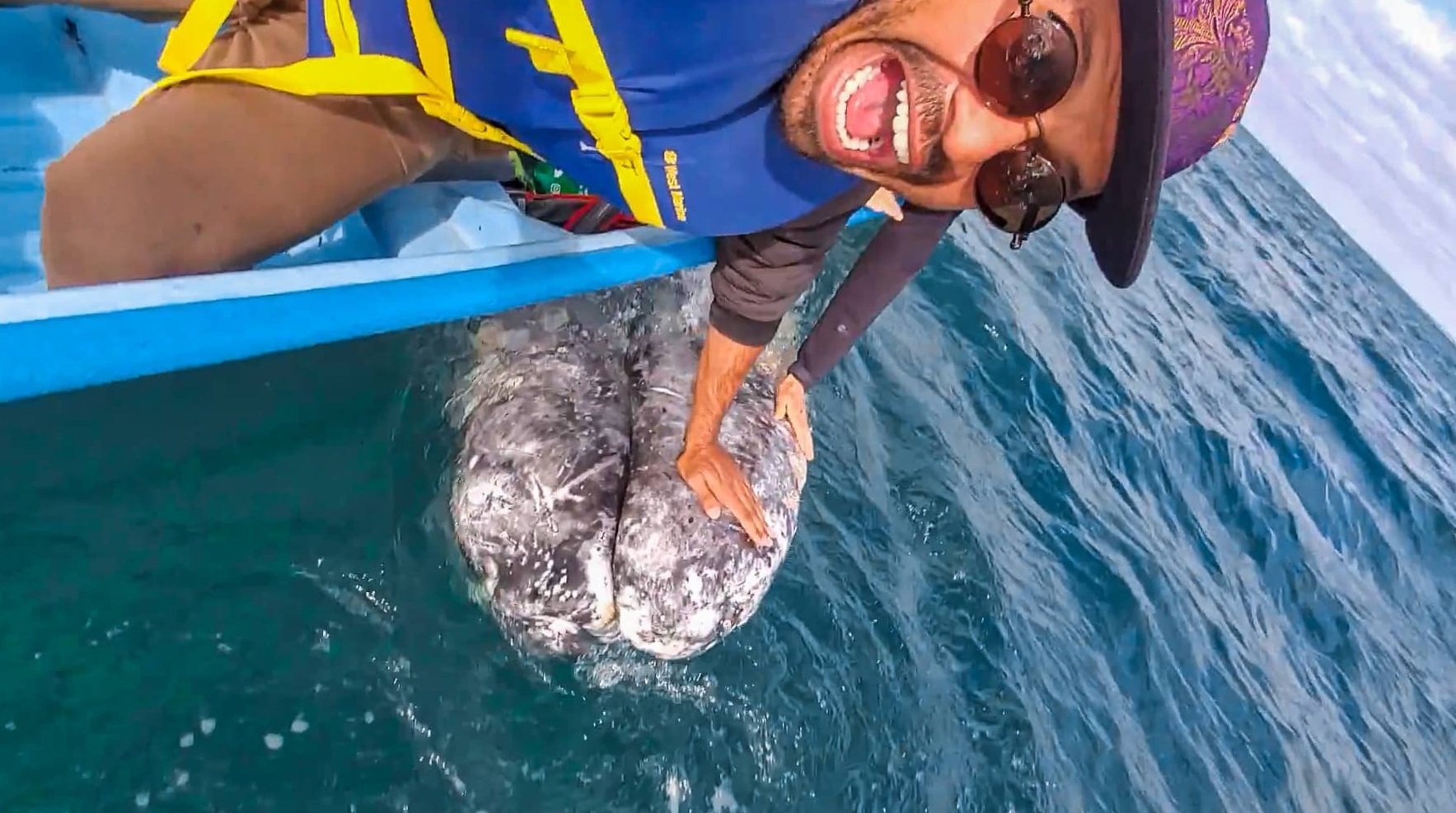 Touching The Baja Gray Whales: A Complete Guide | Baja Wild Encounters