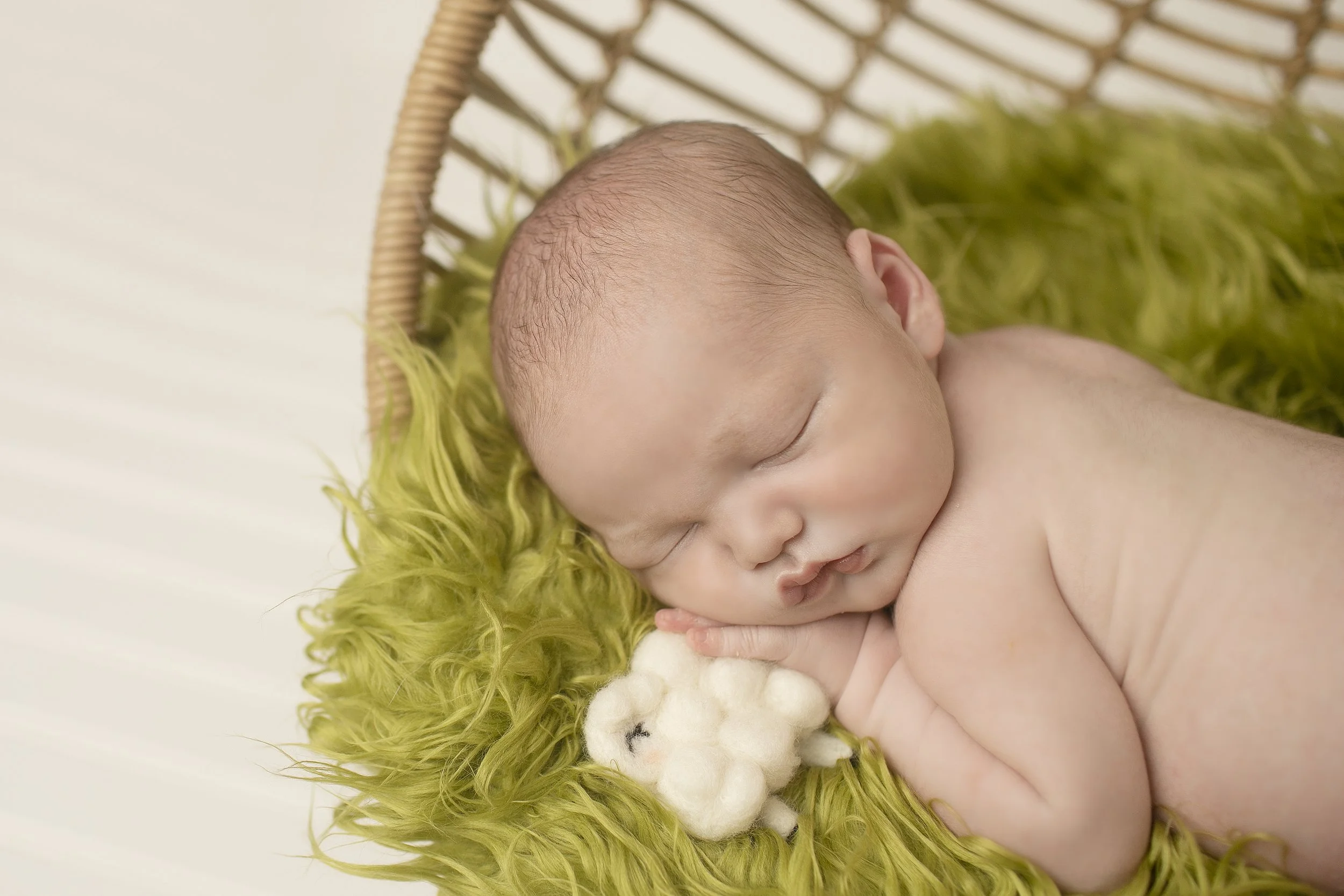 Chunky Monkey Photography - Pages