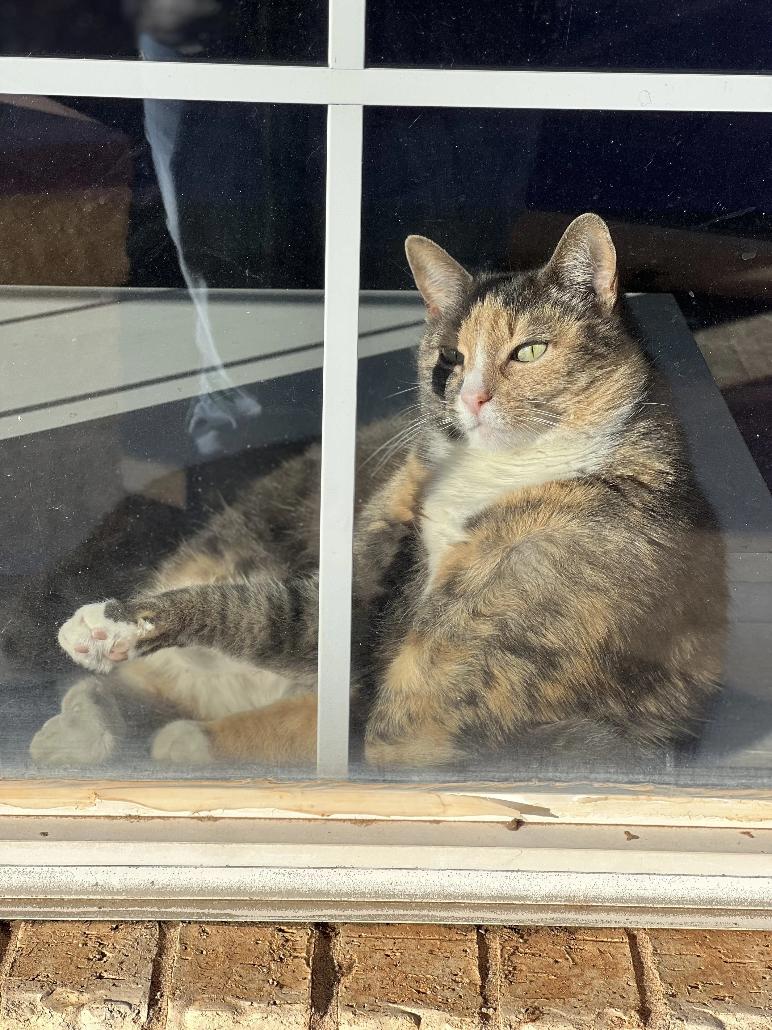 About SCS — Sterling Computer Services