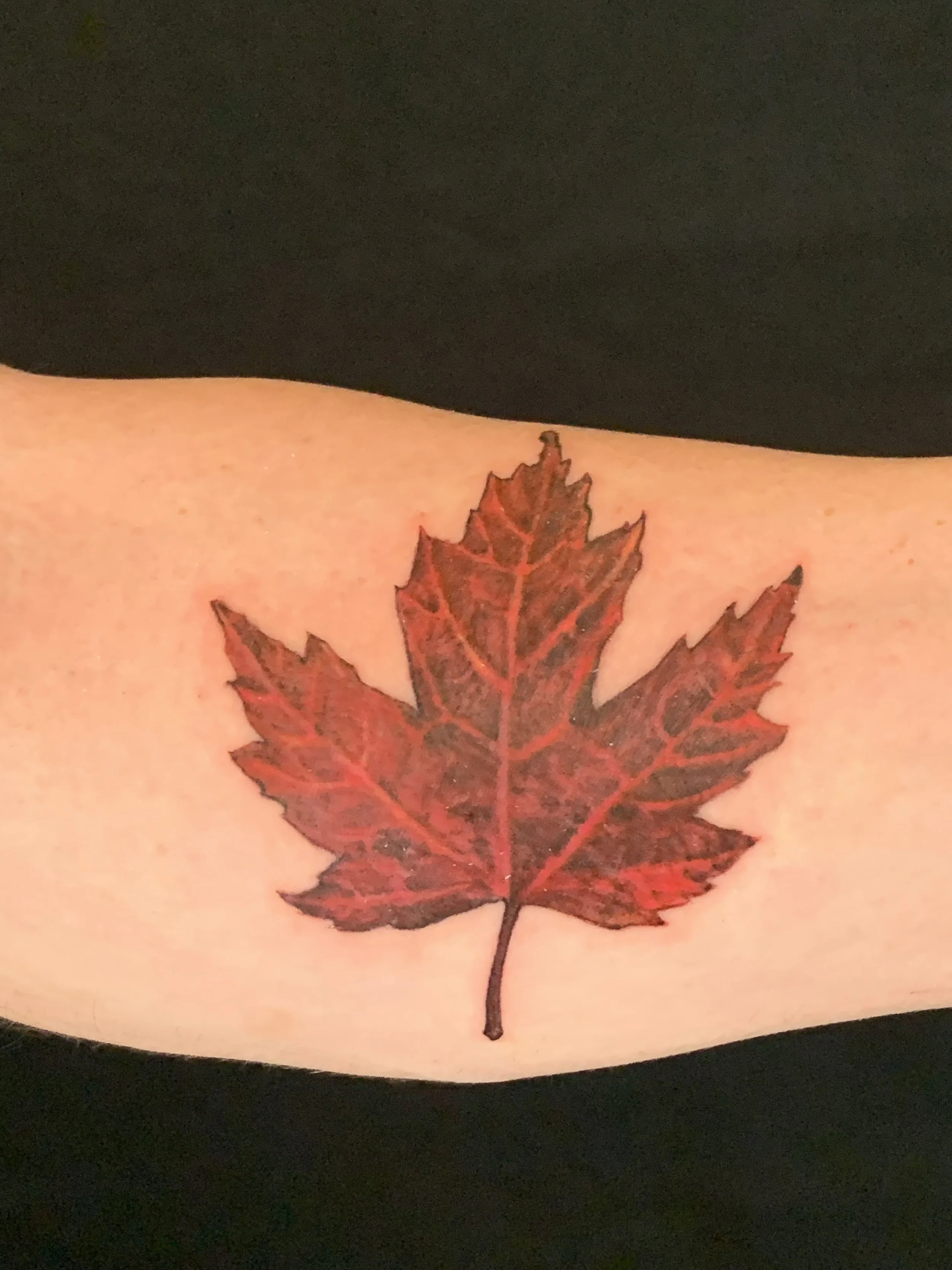 Tattoos — Flying Shield Tattoo