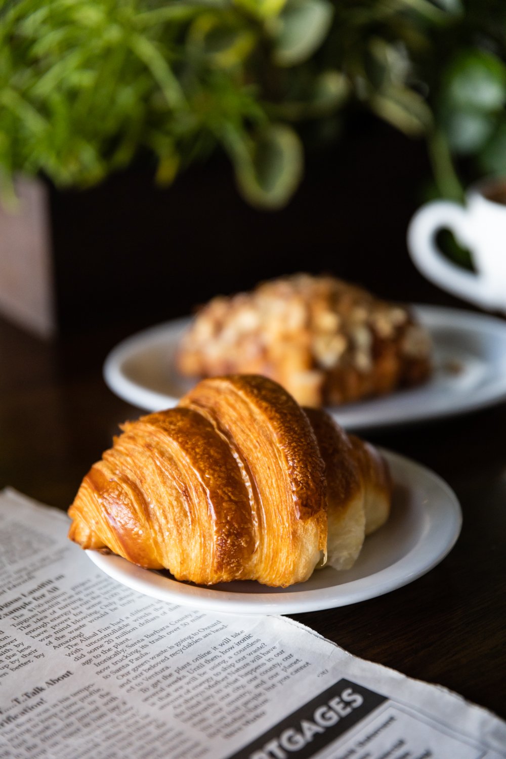 Menu — Lighthouse Coffee