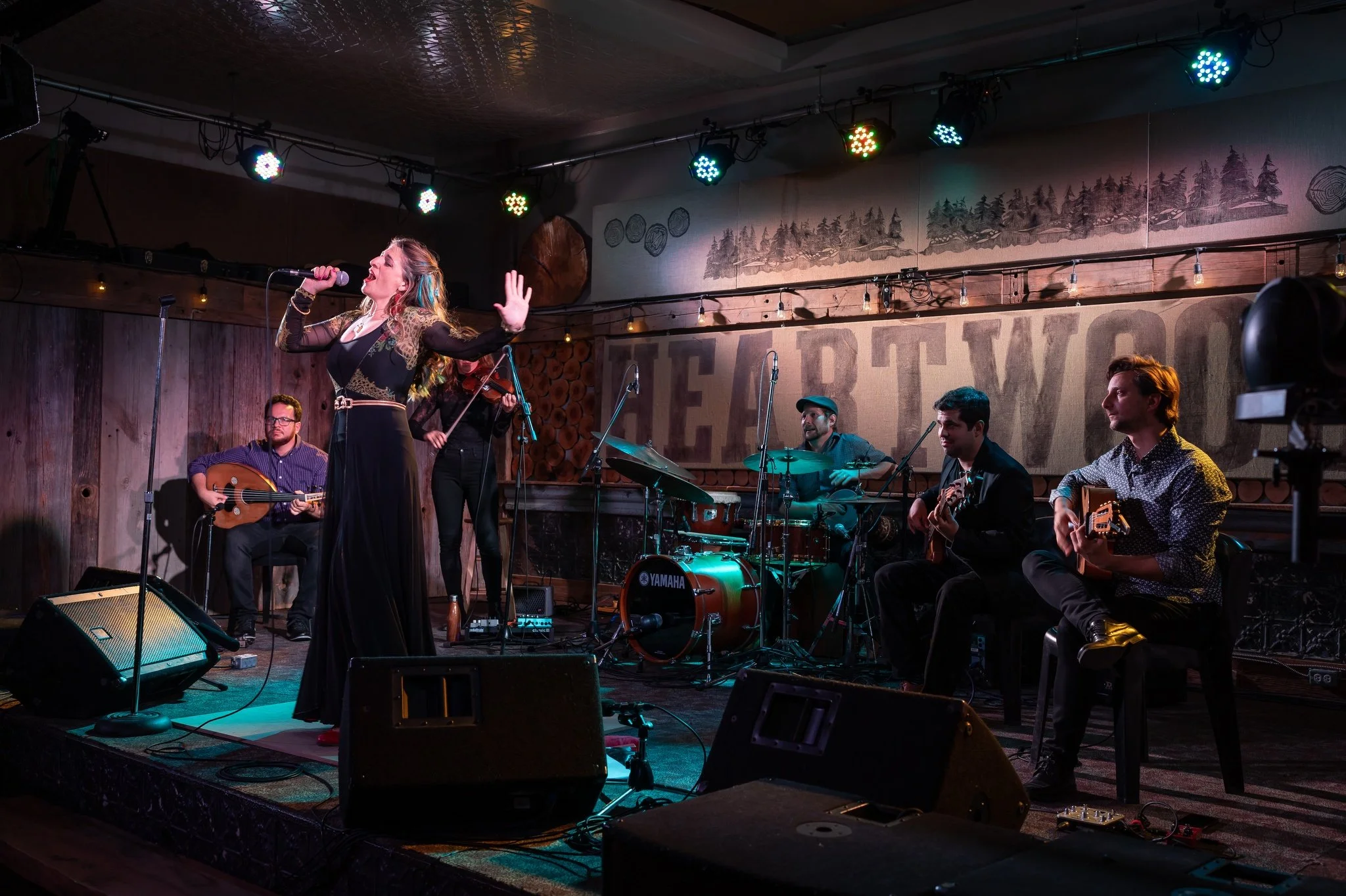 SweetWater Music Festival