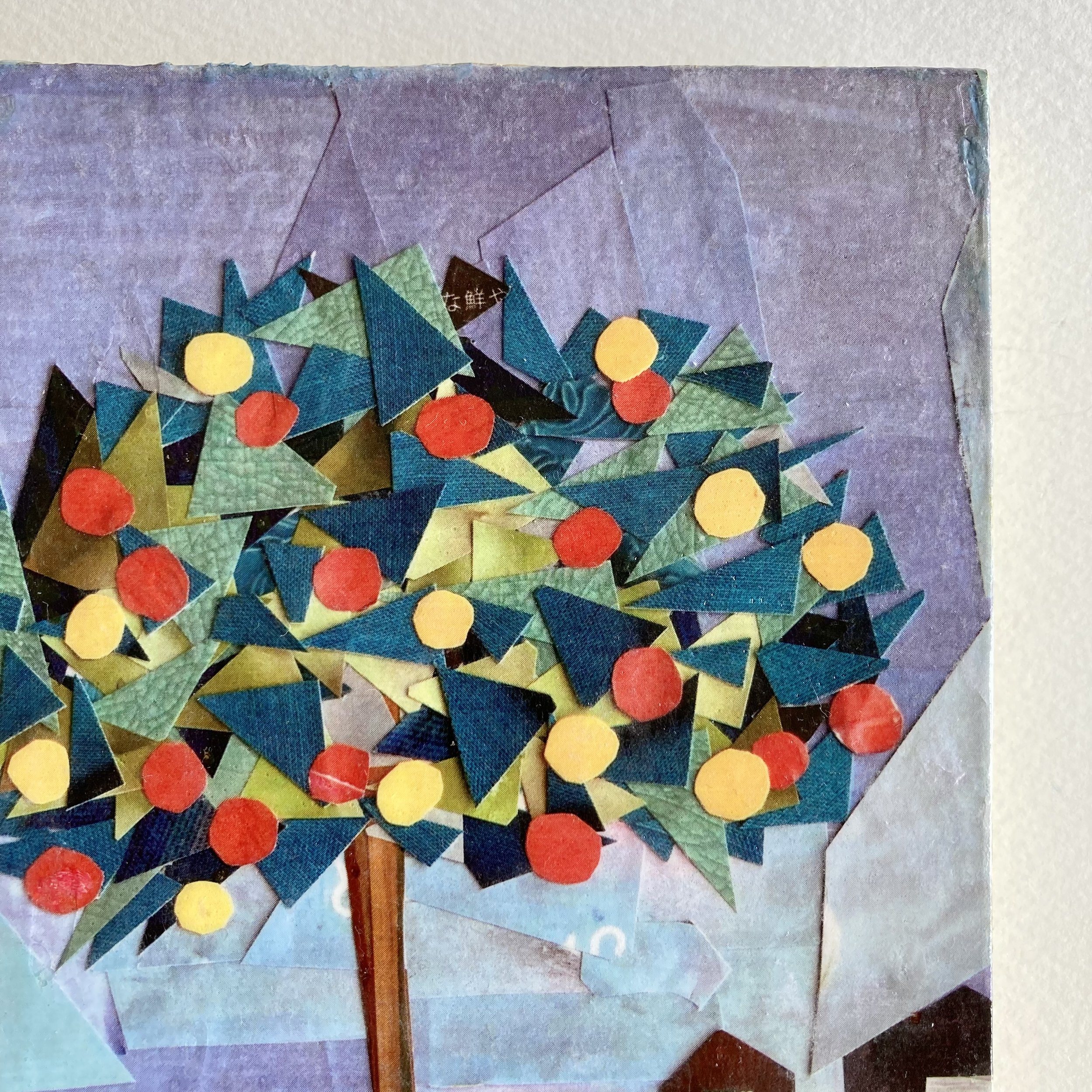 みかんの木 / Japanese Mikan Tree (Oranges) — 室伏志保 - Shiho Murofushi ...