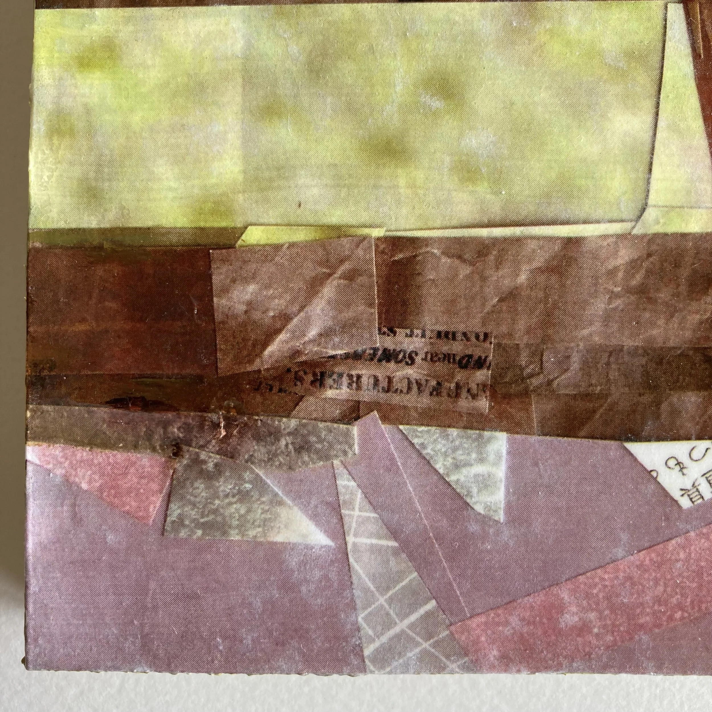 みかんの木 / Japanese Mikan Tree (Oranges) — 室伏志保 - Shiho Murofushi ...