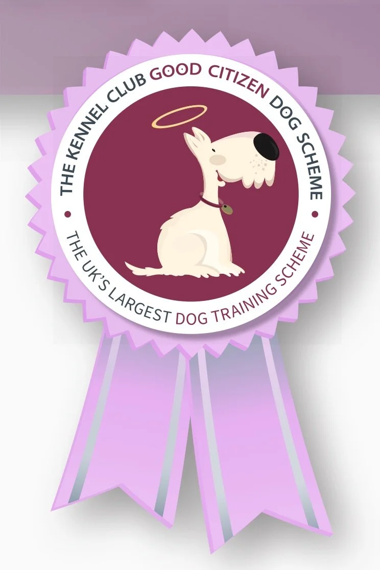 Puppy Foundation — DogWorks