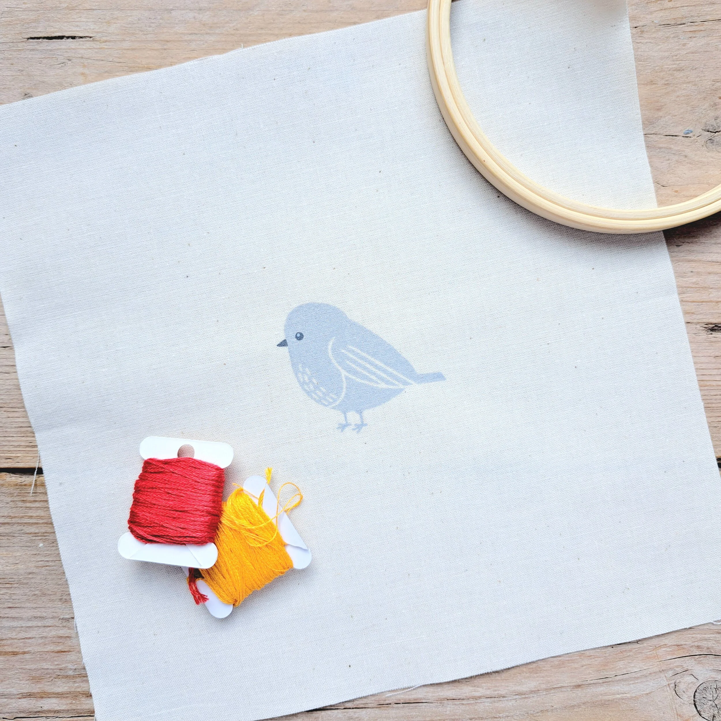 Step-by-Step Guide to Stitching a Colourful Robin on Your Embroidery ...