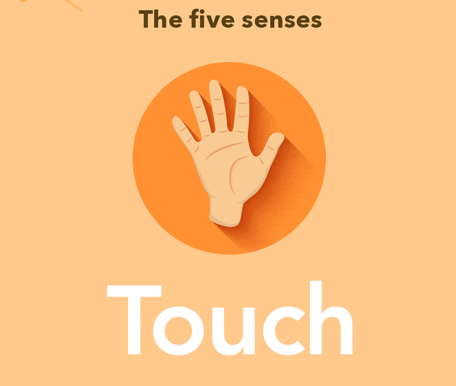 👀😻🙄Senses👀😻🙄 — The Dog House