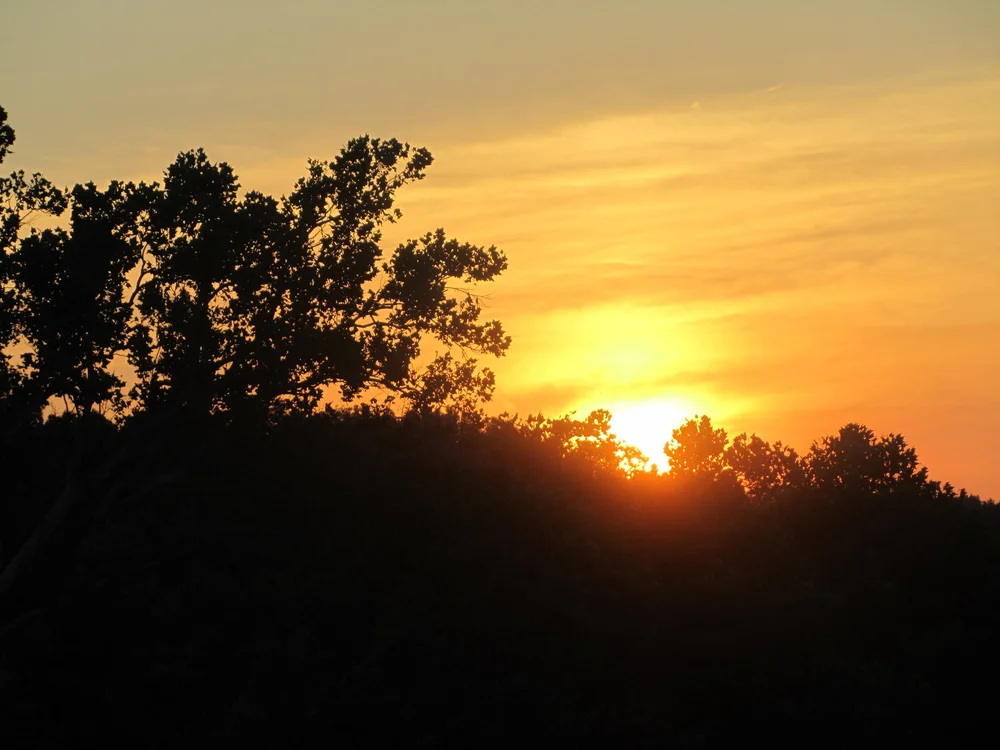 The Merton Collection — The Thomas Merton Society of Great Britain ...