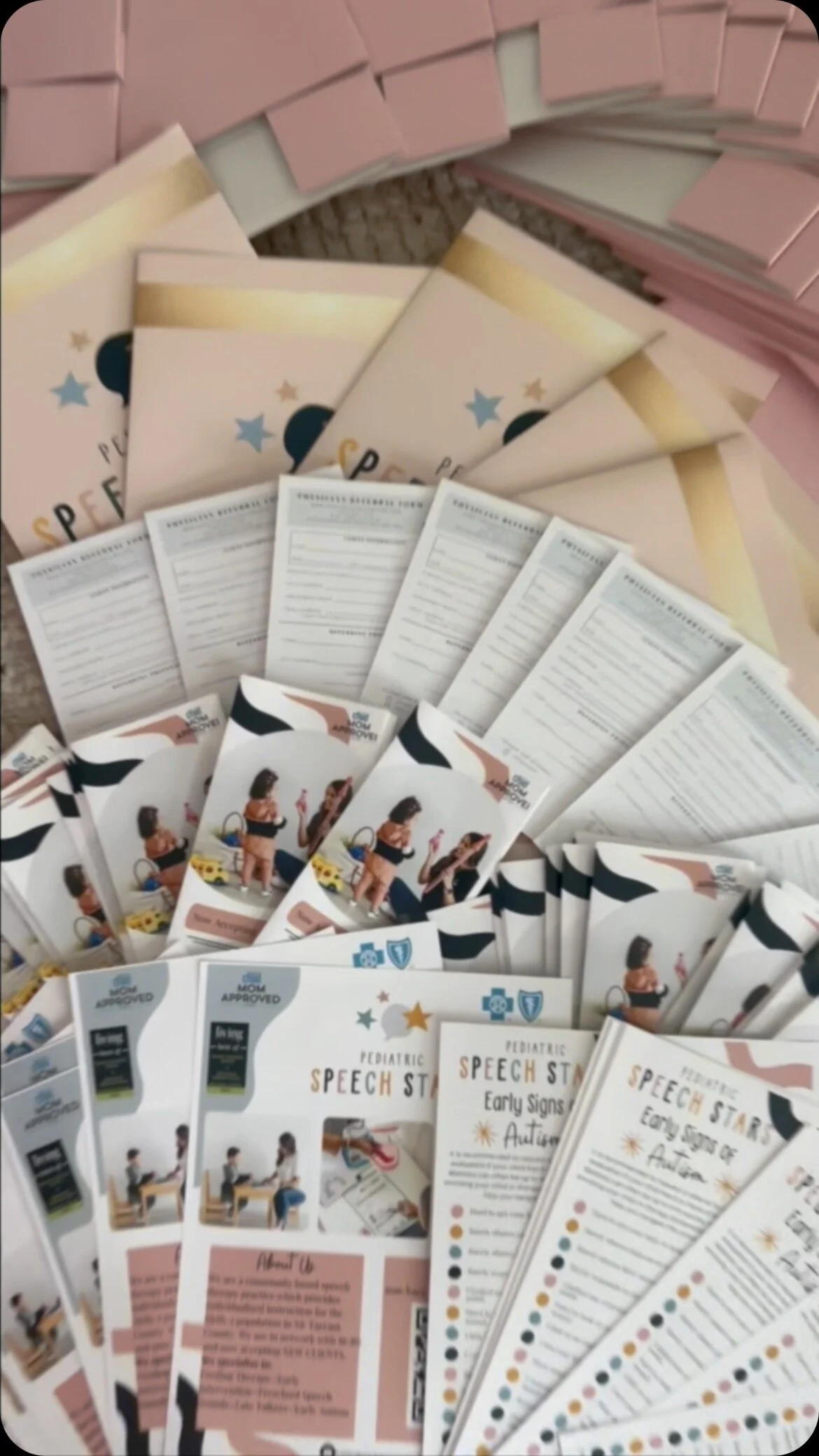 Private Practice Starter Kit — Speech Stars Branding + Pediatric Speech ...