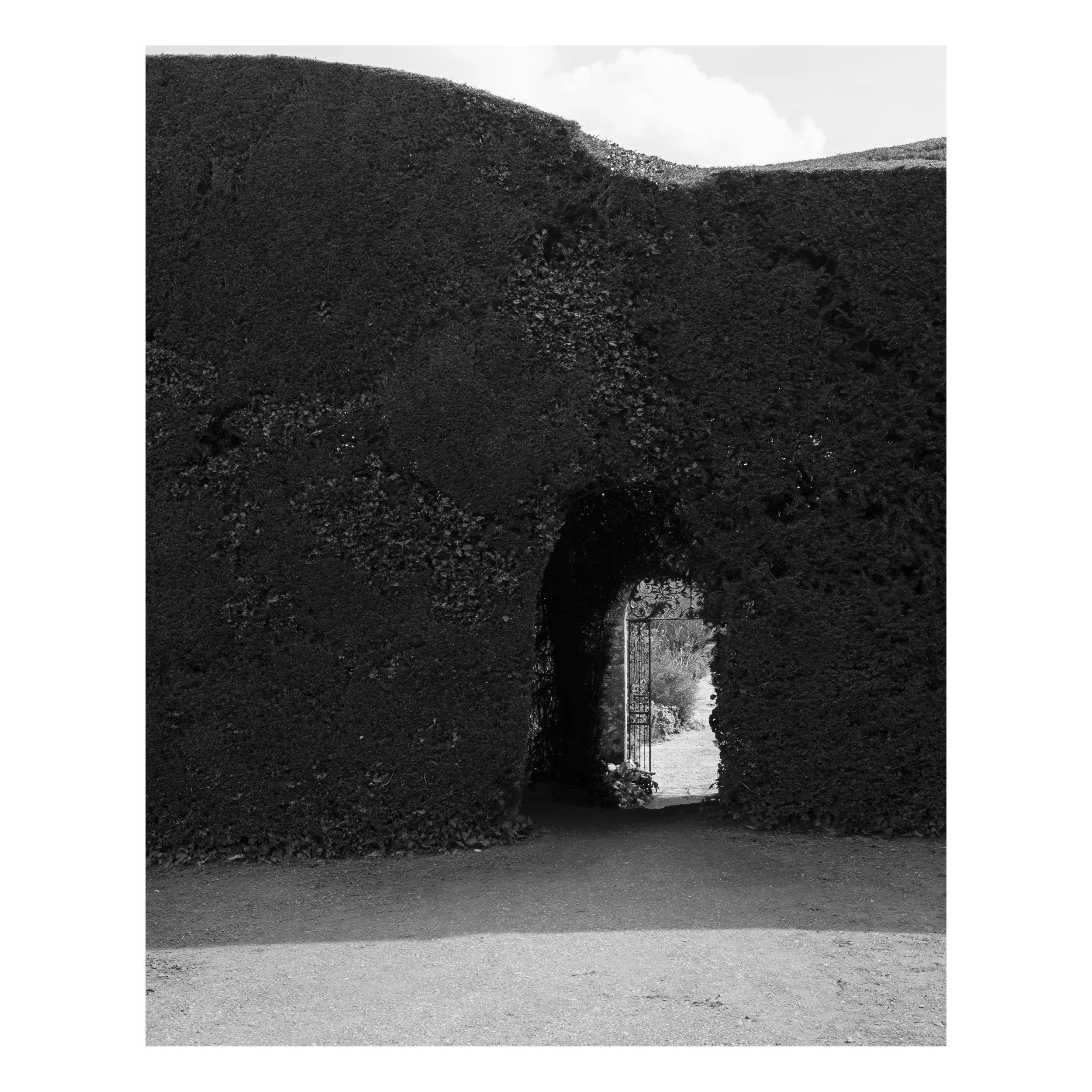 The Hedge — Isaac Southard