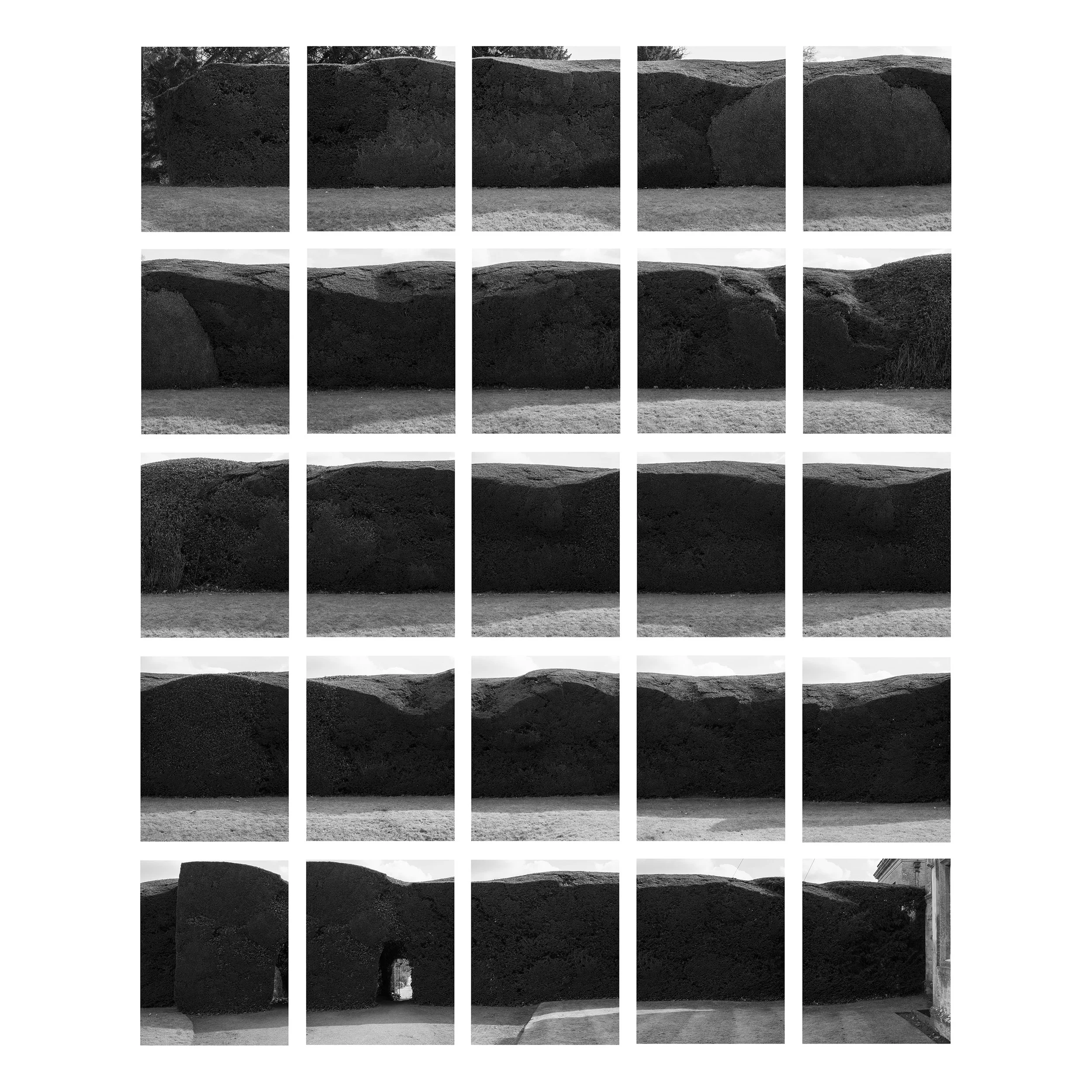 The Hedge — Isaac Southard