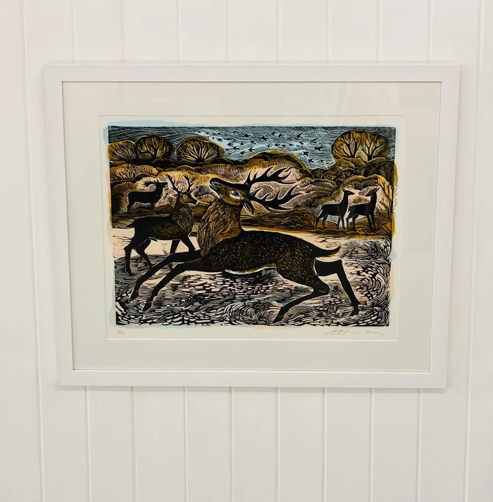 Angela Harding — serena hall gallery