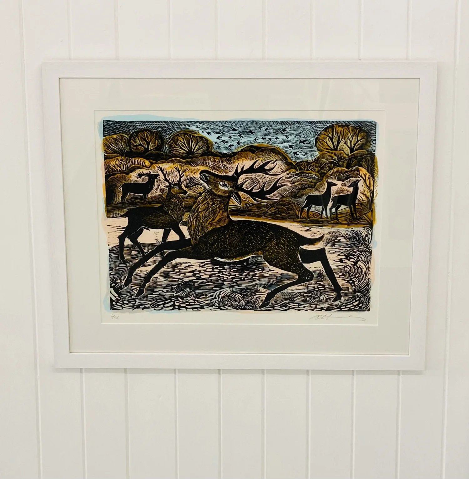 Angela Harding — serena hall gallery