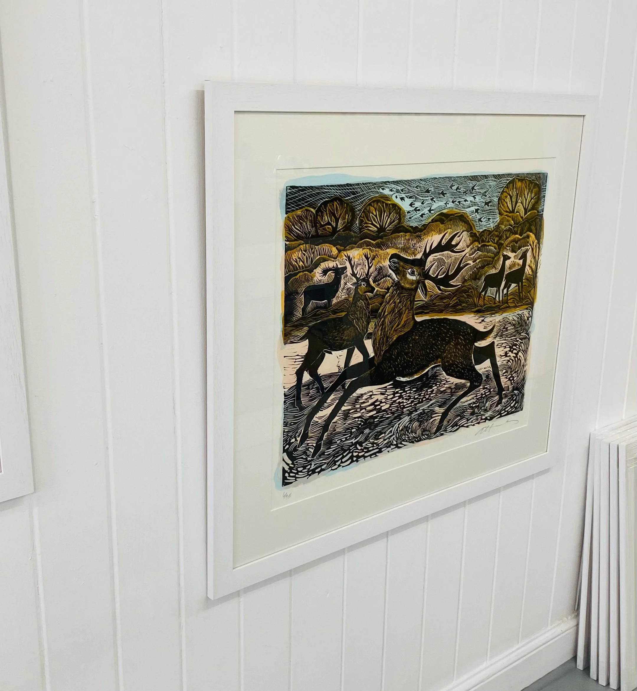 Angela Harding — serena hall gallery