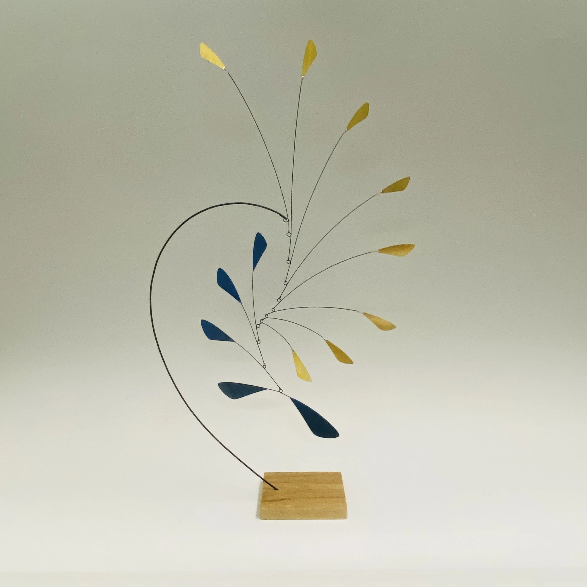 Edward Willis — serena hall gallery