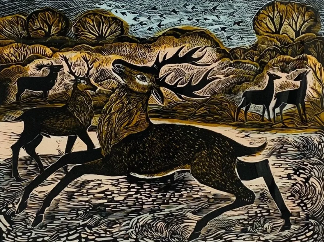 Angela Harding — serena hall gallery