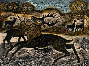 Angela Harding — serena hall gallery