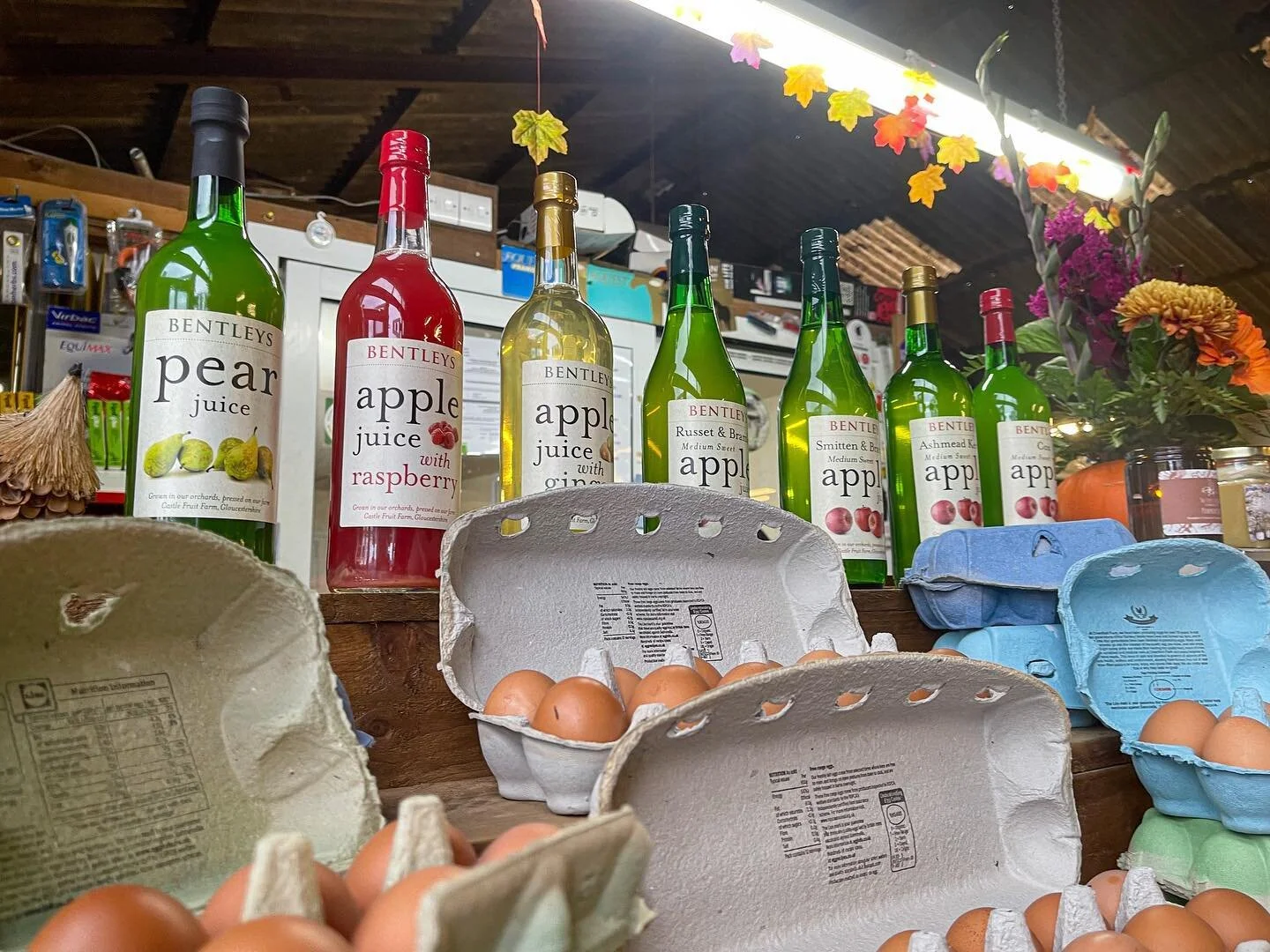 Farm & Country Store