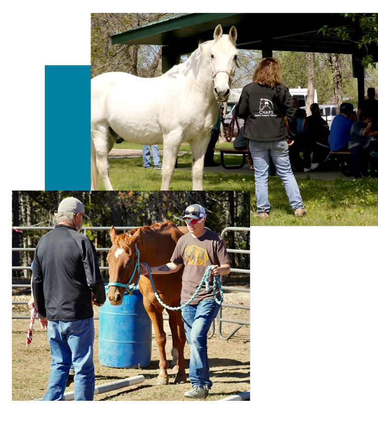 About the Organization — CHAPS Equine Assisted Services