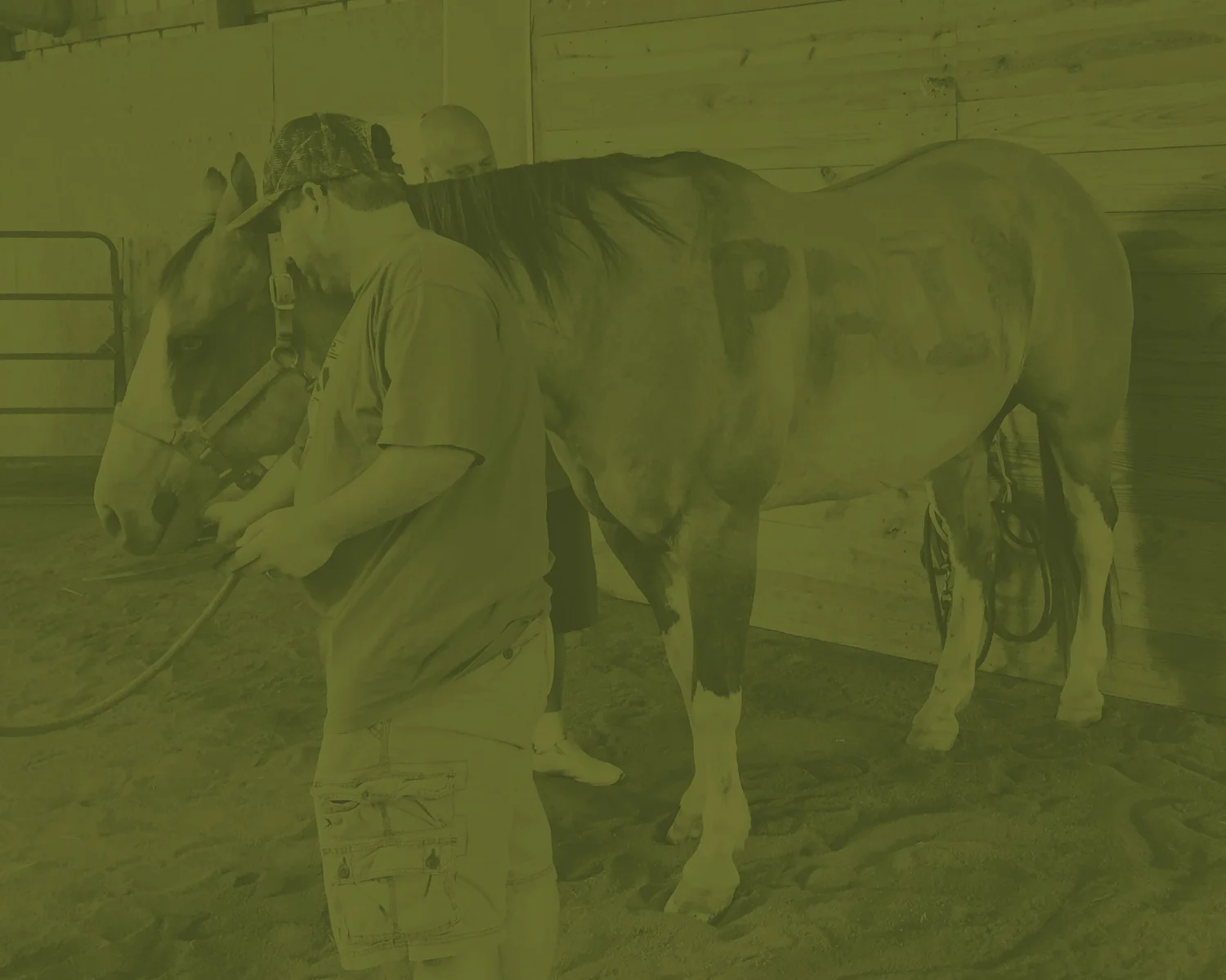 Equine Assisted Service Programs — CHAPS Equine Assisted Services