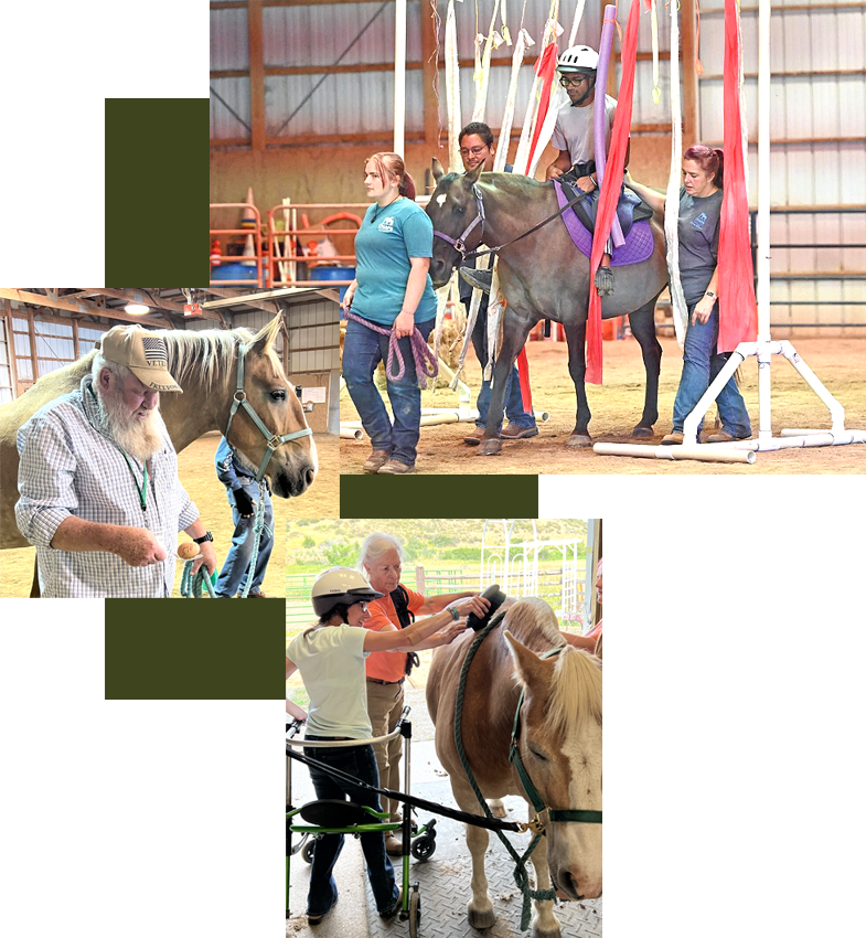 Equine Assisted Service Programs — CHAPS Equine Assisted Services