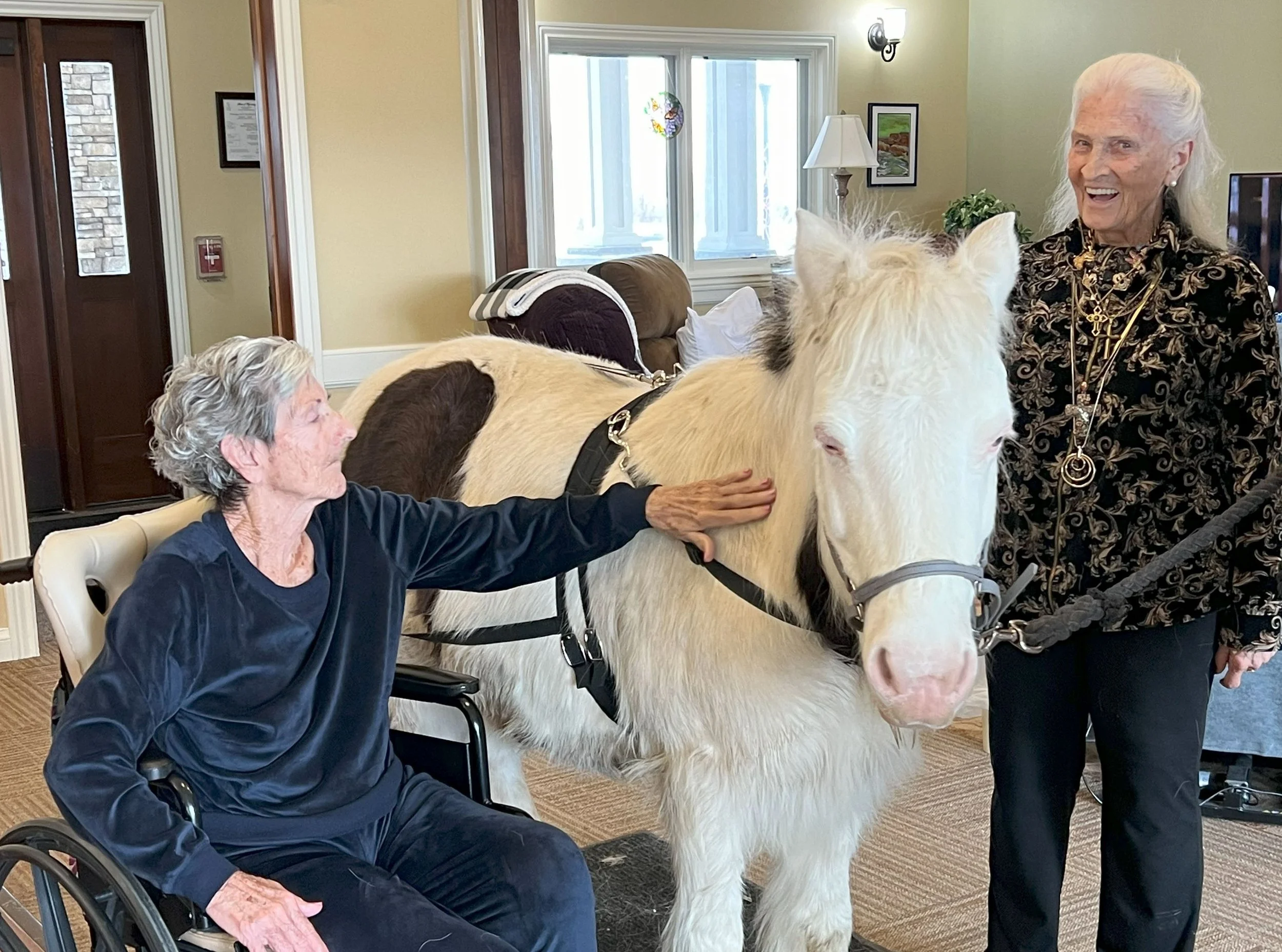 Equine Assisted Service Programs — CHAPS Equine Assisted Services