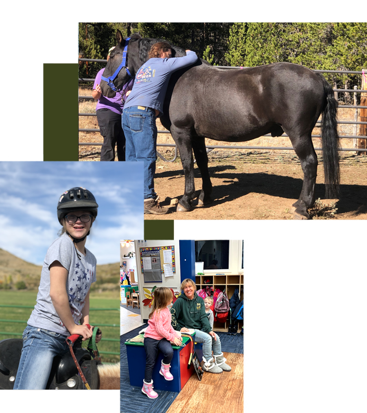Equine Assisted Service Programs — CHAPS Equine Assisted Services
