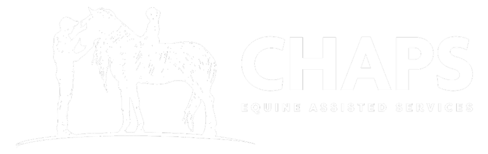 CHAPS Tournament of Knights — CHAPS Equine Assisted Services
